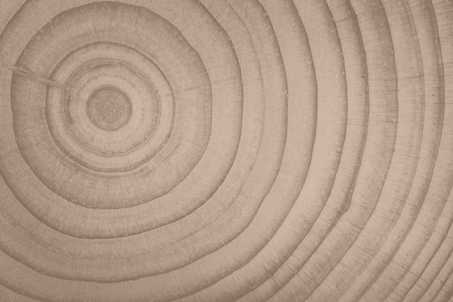 Systemic Discrimination and the Overrepresentation of Indigenous ...