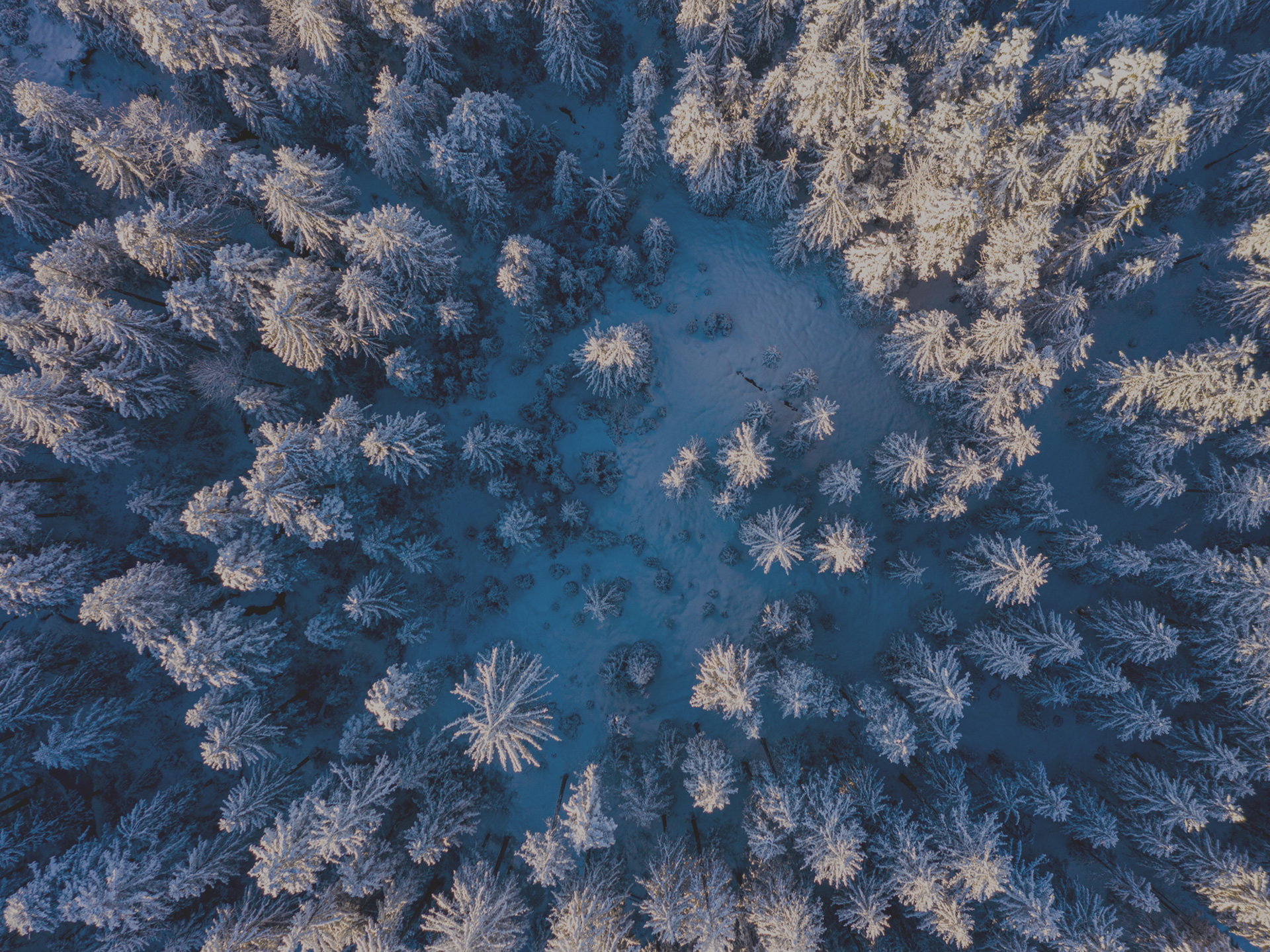 The United Nations Declaration on the Rights of Indigenous Peoples ...