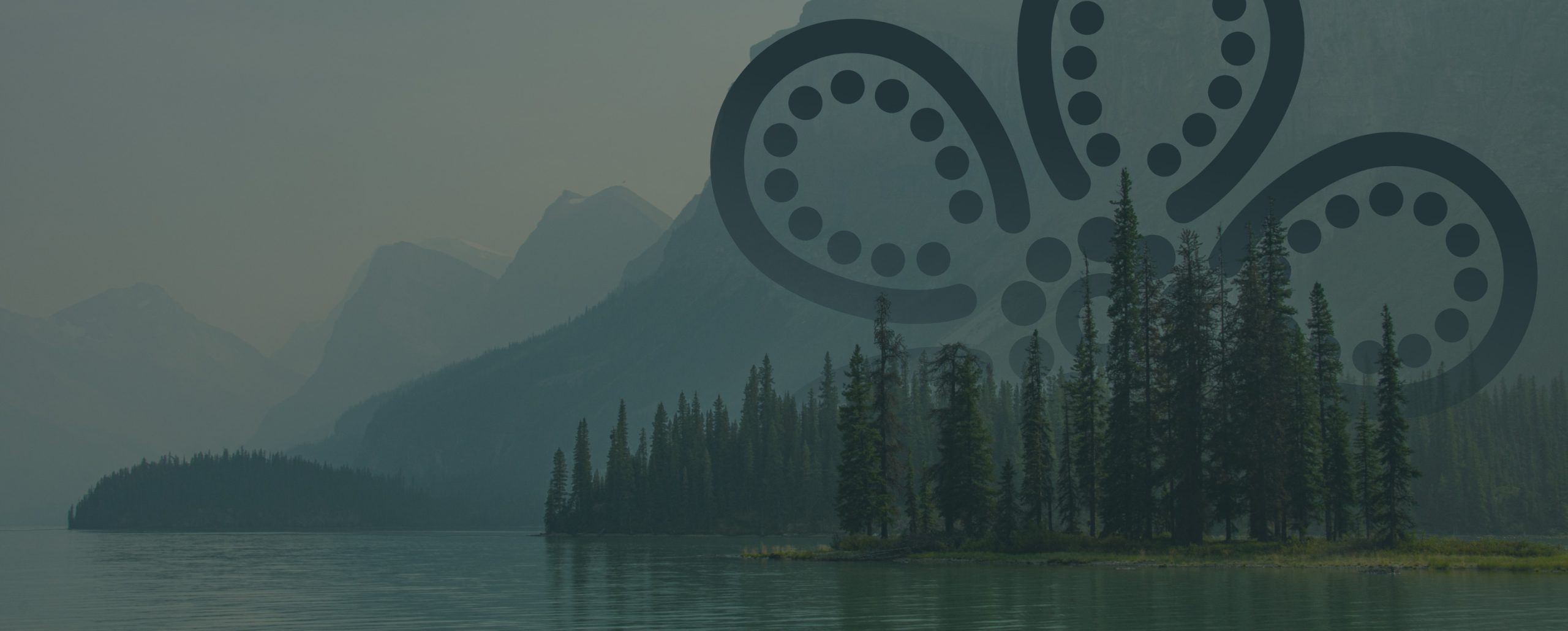 ABOUT - Waapihk Research